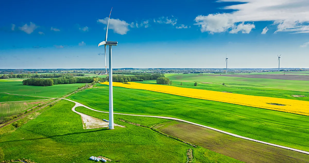 1% Revenue Commitment to Carbon Removal - Blog - Vitextra